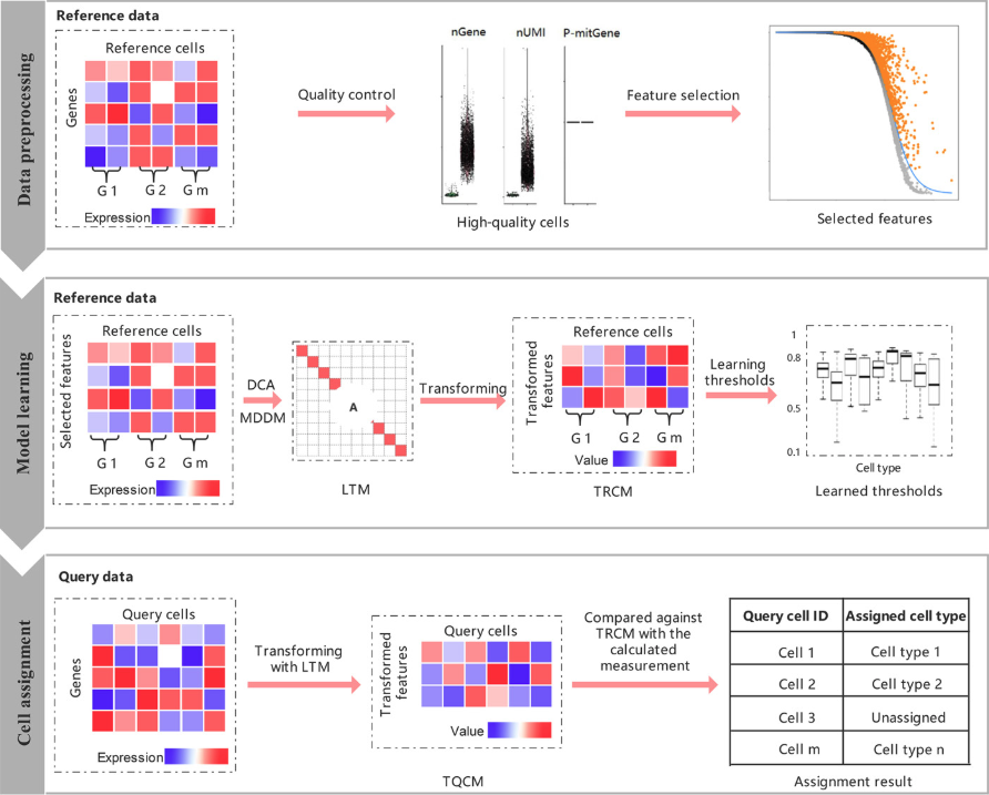 Learning for single-cell assignment | Duan Lab@SJTU