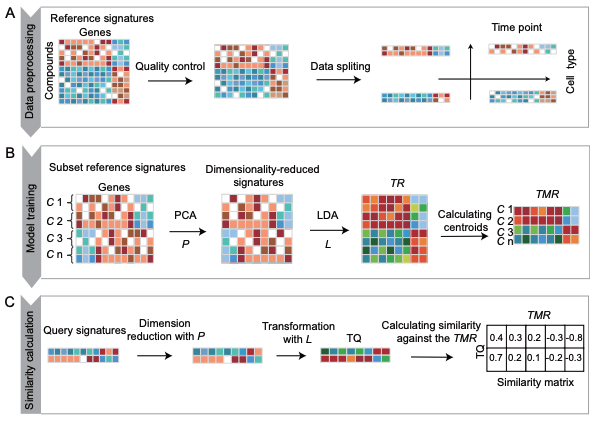 DrSim: Similarity Learning for Transcriptional Phenotypic Drug ...