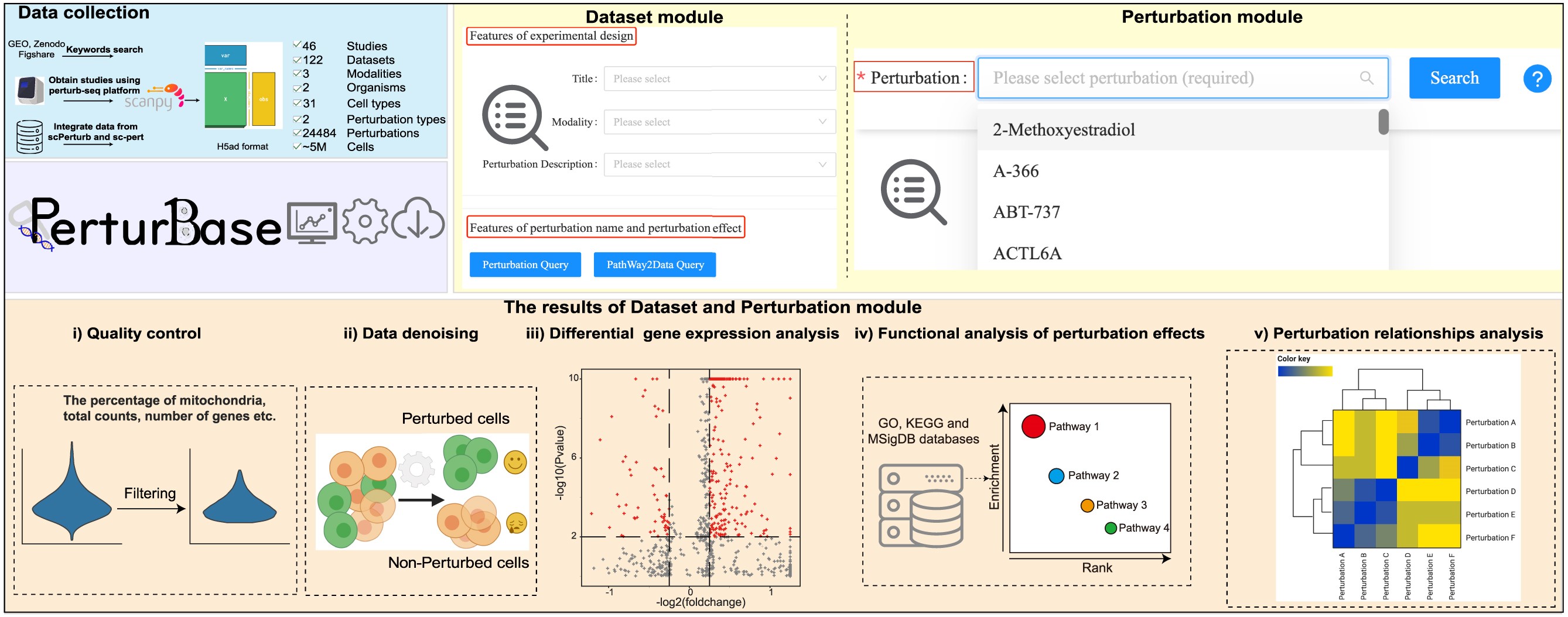 PerturBase: a comprehensive database for single-cell perturbation data analysis and ...
