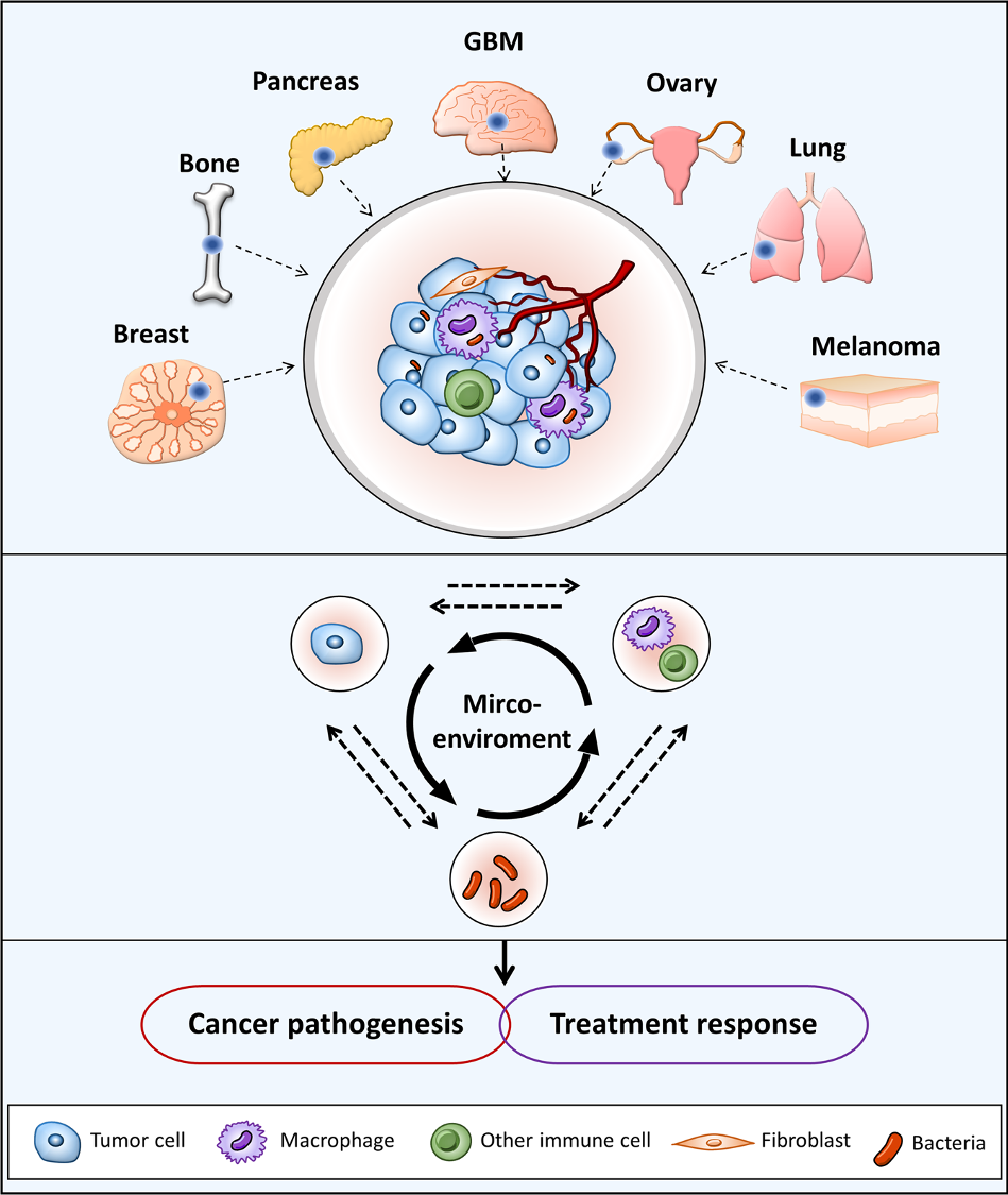 Analysis of the Tumor Microenvironment | Duan Lab